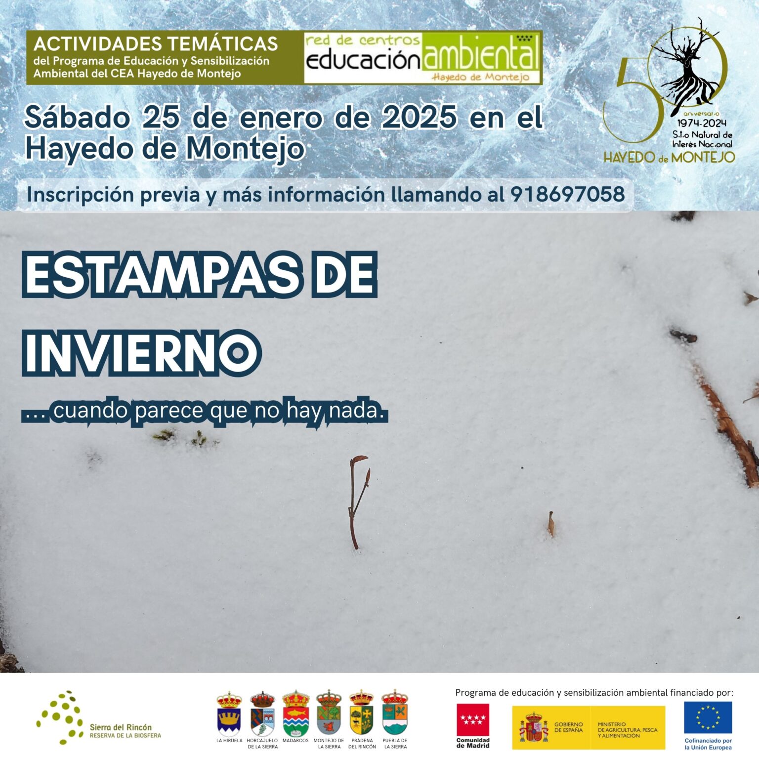 ACTIVIDAD TEMÁTICA: ESTAMPAS DE INVIERNO - Sierra del Rincón