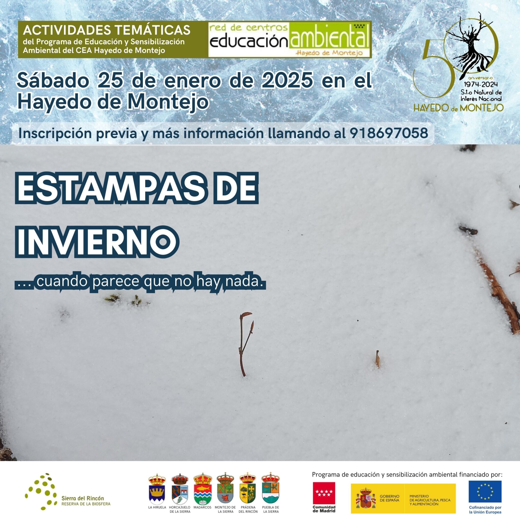 ACTIVIDAD TEMÁTICA: ESTAMPAS DE INVIERNO - Sierra del Rincón
