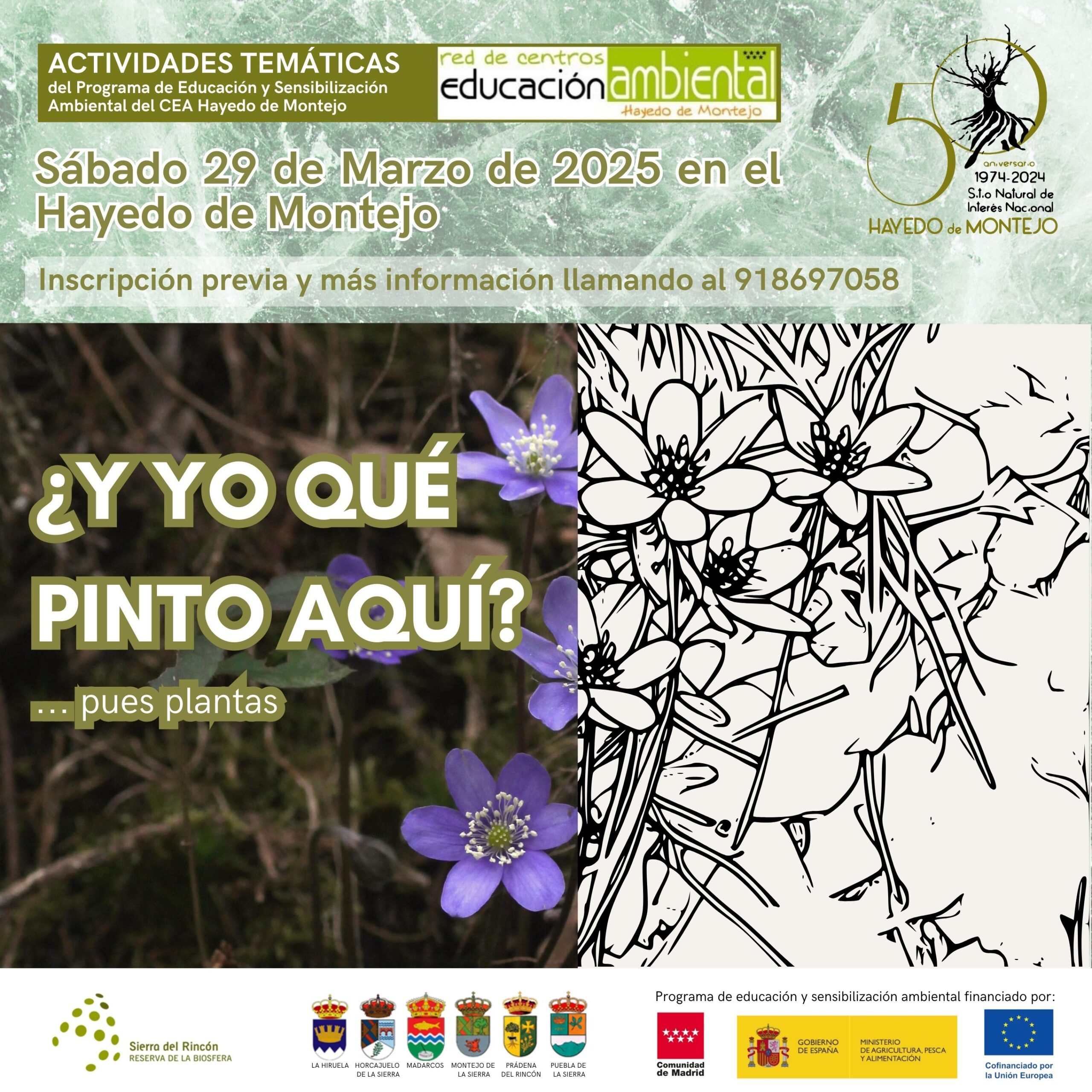 ACTIVIDAD TEMÁTICA: ¿Y yo qué pinto aquí? 29 marzo 2025. Hayedo de ...