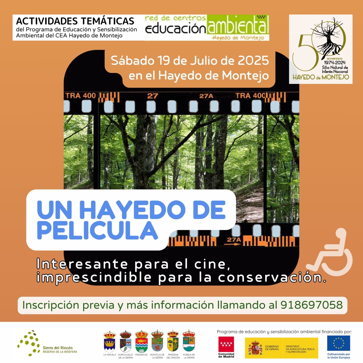 Actividad Temática: Un Hayedo de película. 19 de julio. Hayedo de ...