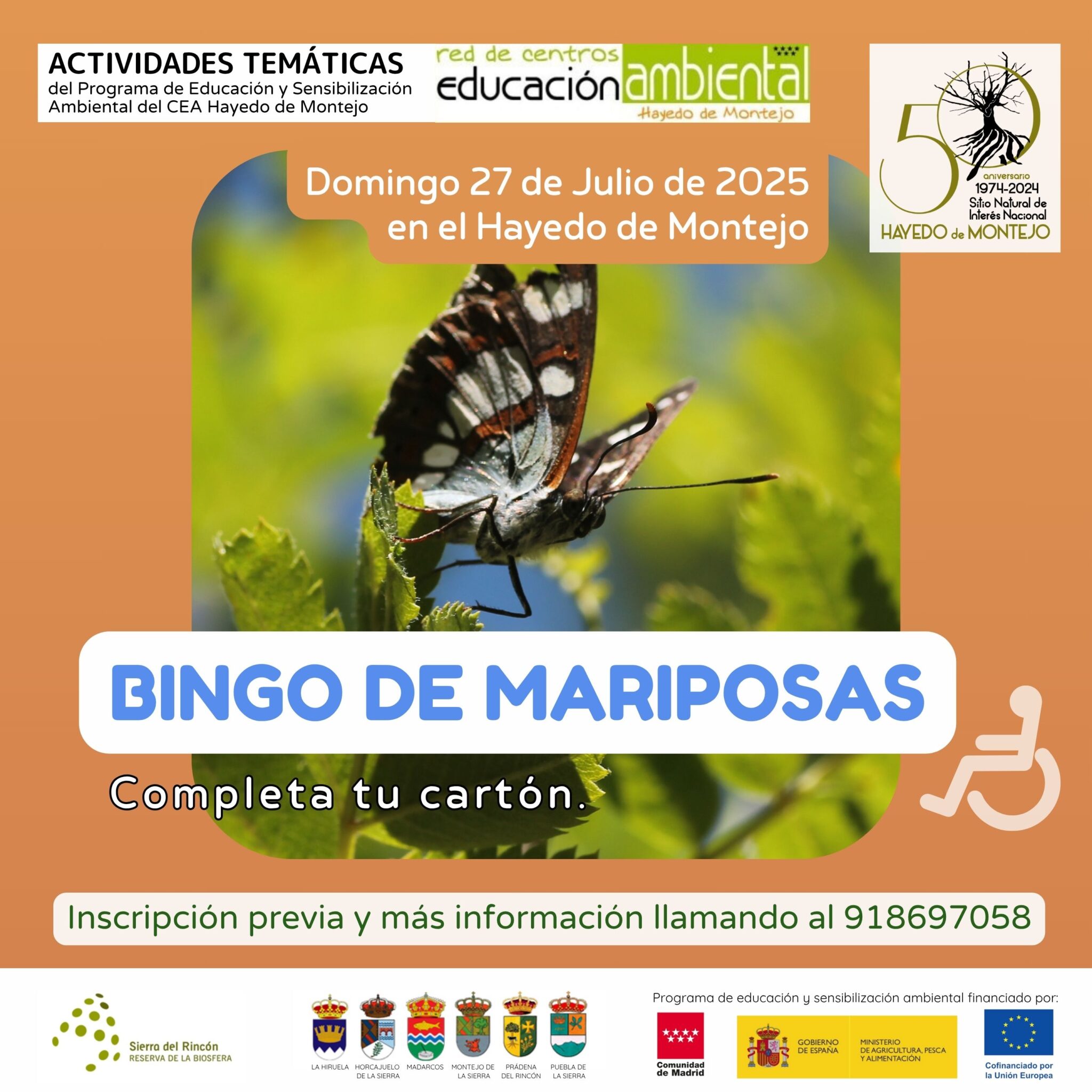 Actividad temática: Bingo de mariposas. 27 julio. Hayedo de Montejo - Sierra del Rincón